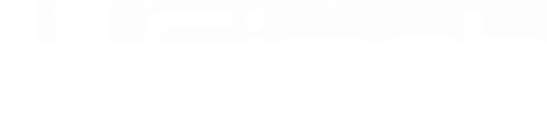 Start - Euvic performance