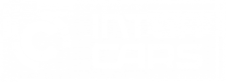 Start - Euvic performance