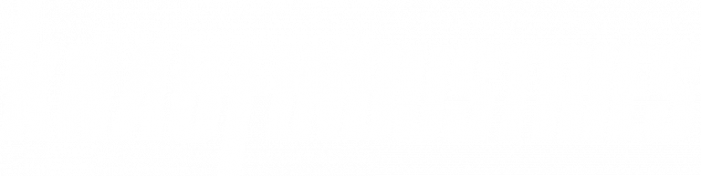 Start - Euvic performance