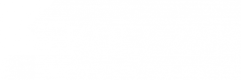 Start - Euvic performance