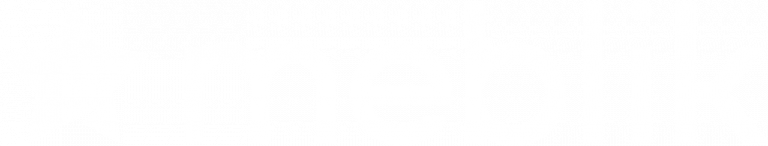 Start - Euvic performance