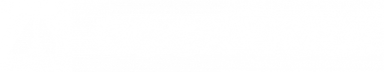 Start - Euvic performance